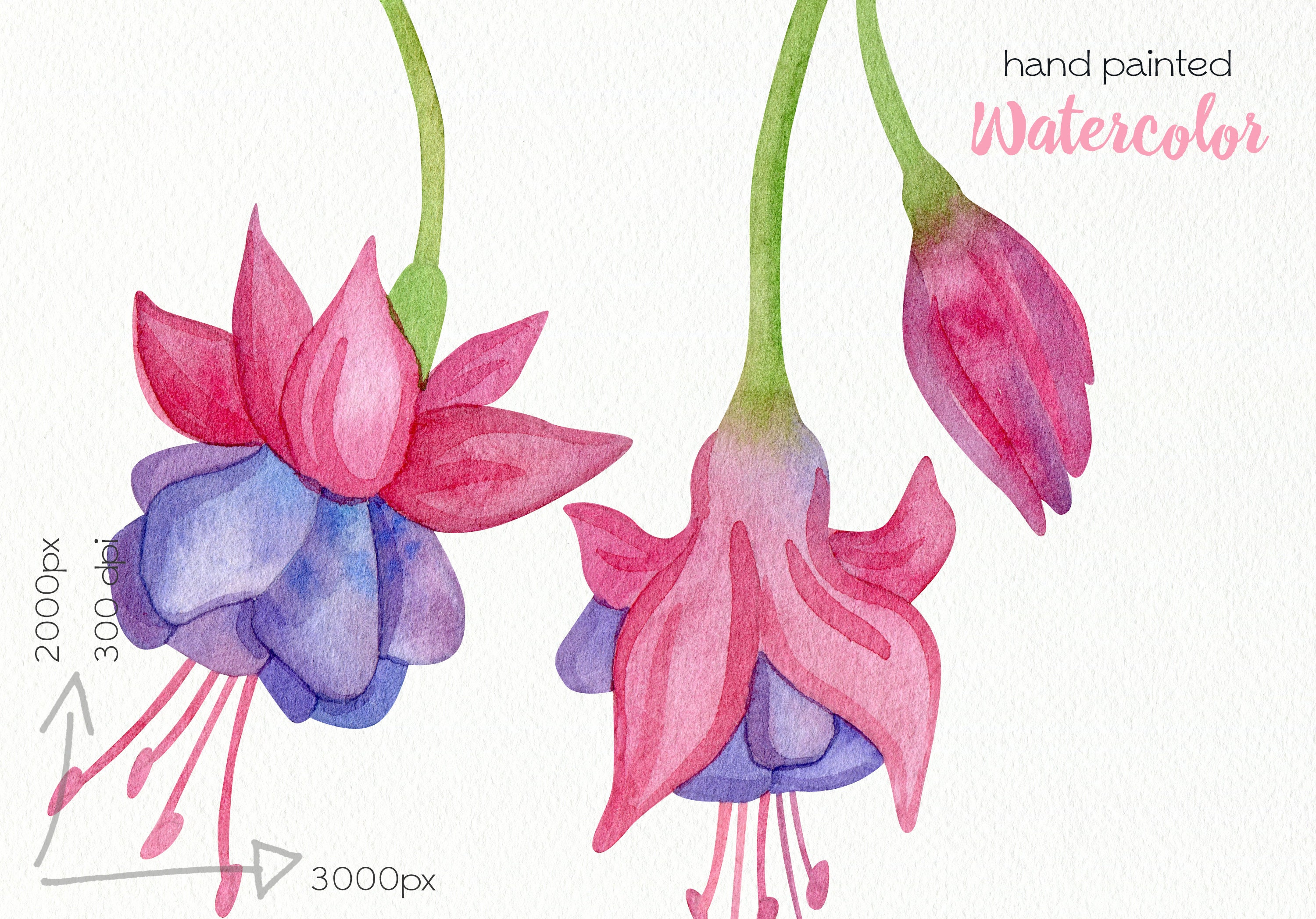 Tropical Leaves and Flowers Clipart / Watercolor Floral / - Etsy