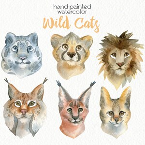 Cute Wild Cats Clipart / Hand Painted Watercolor Animals / Snow Leopard ...