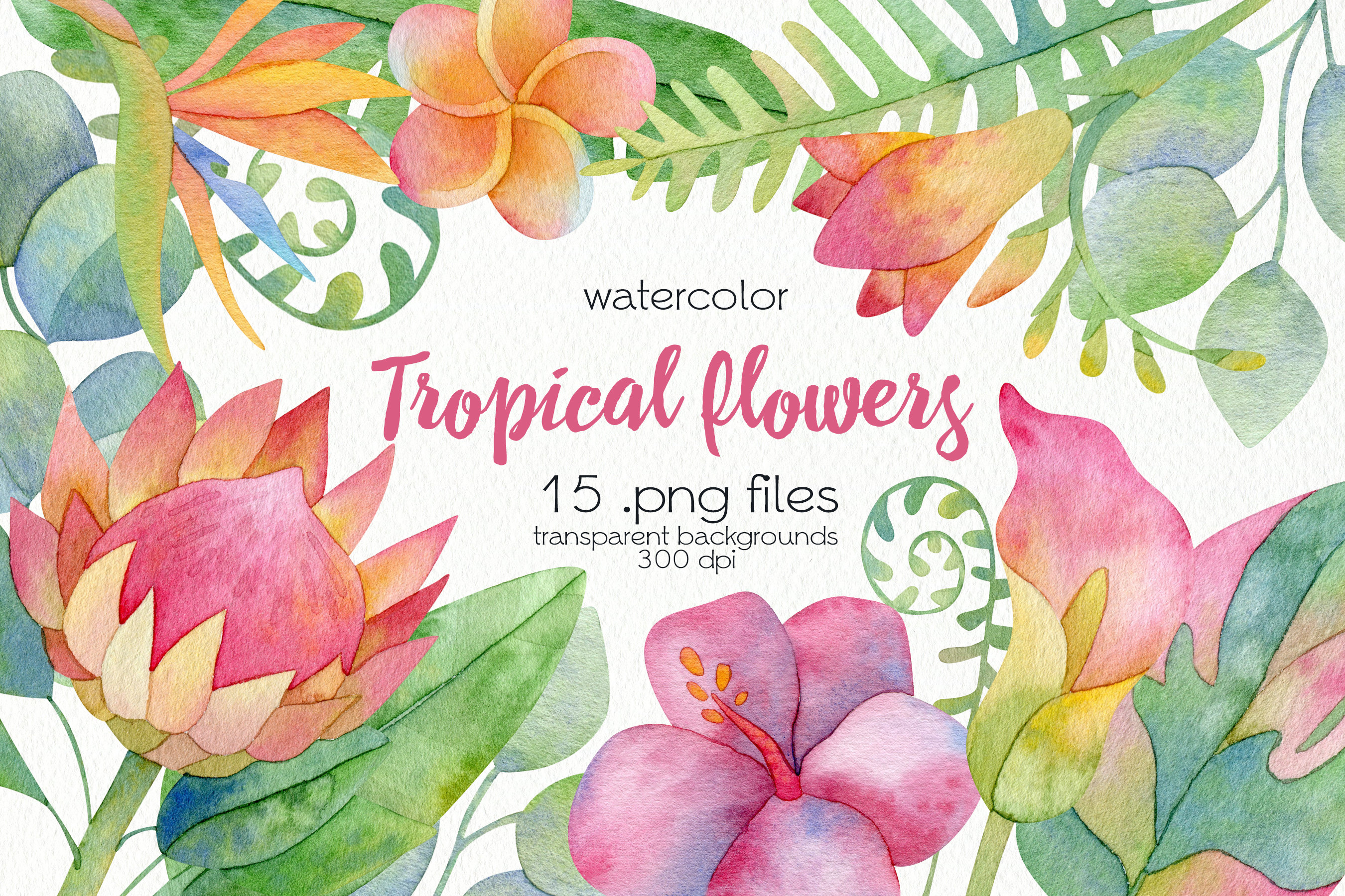 Watercolor Tropical Clipart / Summer Tropical Leaves and - Etsy