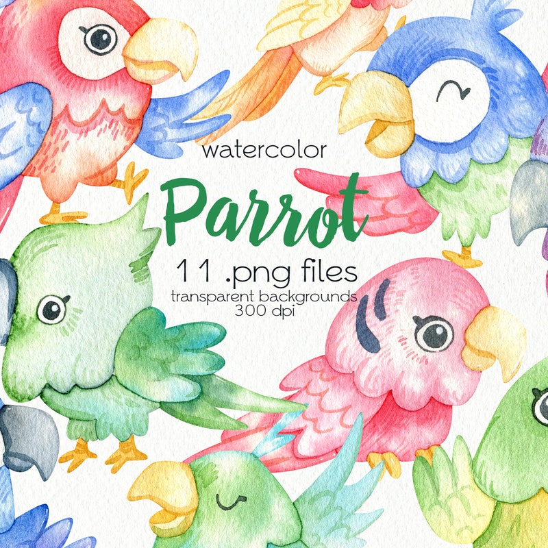 Parrot Watercolor - Etsy