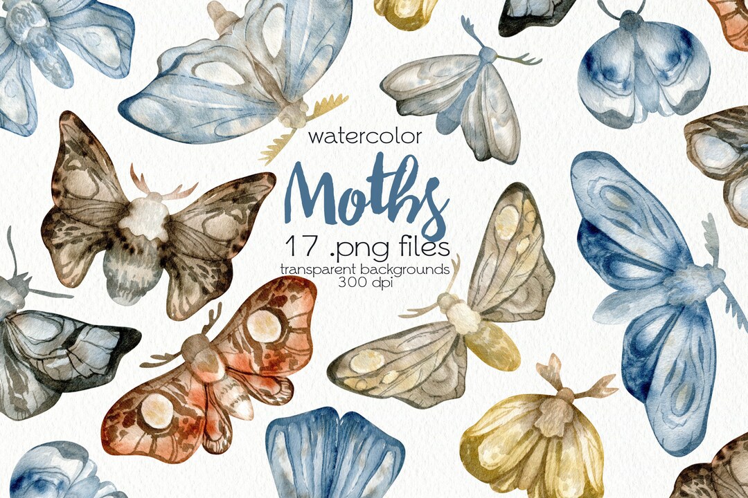 Watercolor Moth Clipart / Insects / PNG Files / Instant Download - Etsy