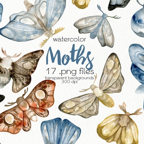 Moth Clipart / Insect Clipart / PNG Files / Instant Download - Etsy