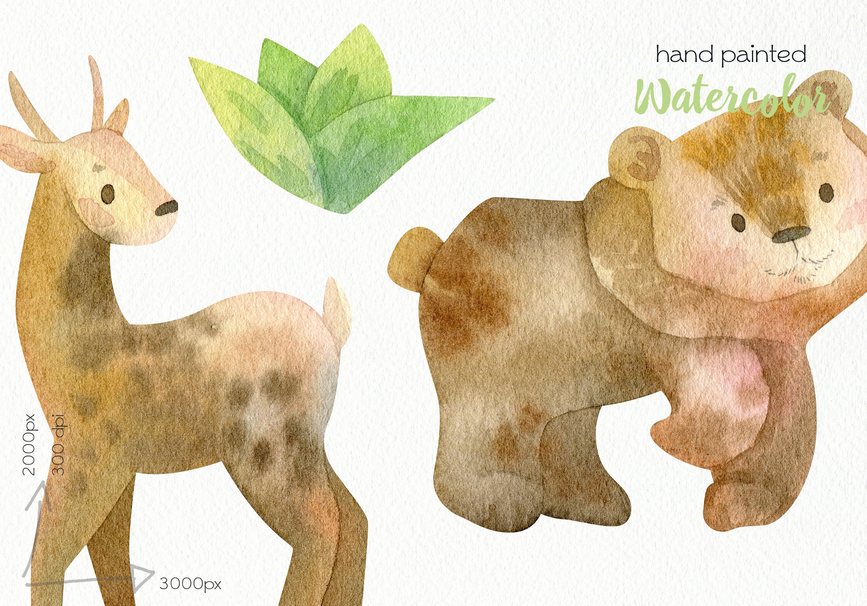 Watercolor Forest Animals Clipart / Woodland Animals / PNG - Etsy