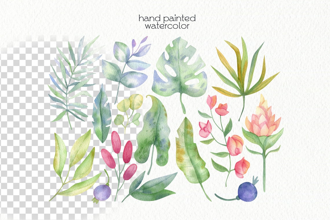 Watercolor Tropical Leaves Clipart / PNG Files / Instant - Etsy