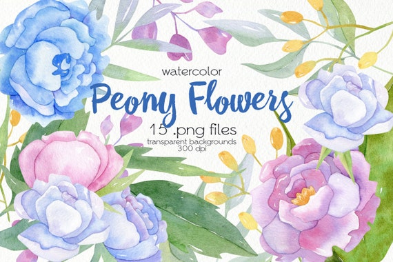 Watercolor Spring Flowers Clipart / Peony Flowers / PNG Files - Etsy