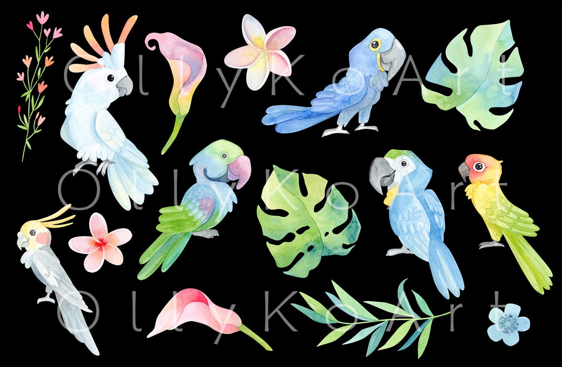 Watercolor Tropical Birds Clipart / Parrot Clip Art / Exotic - Etsy