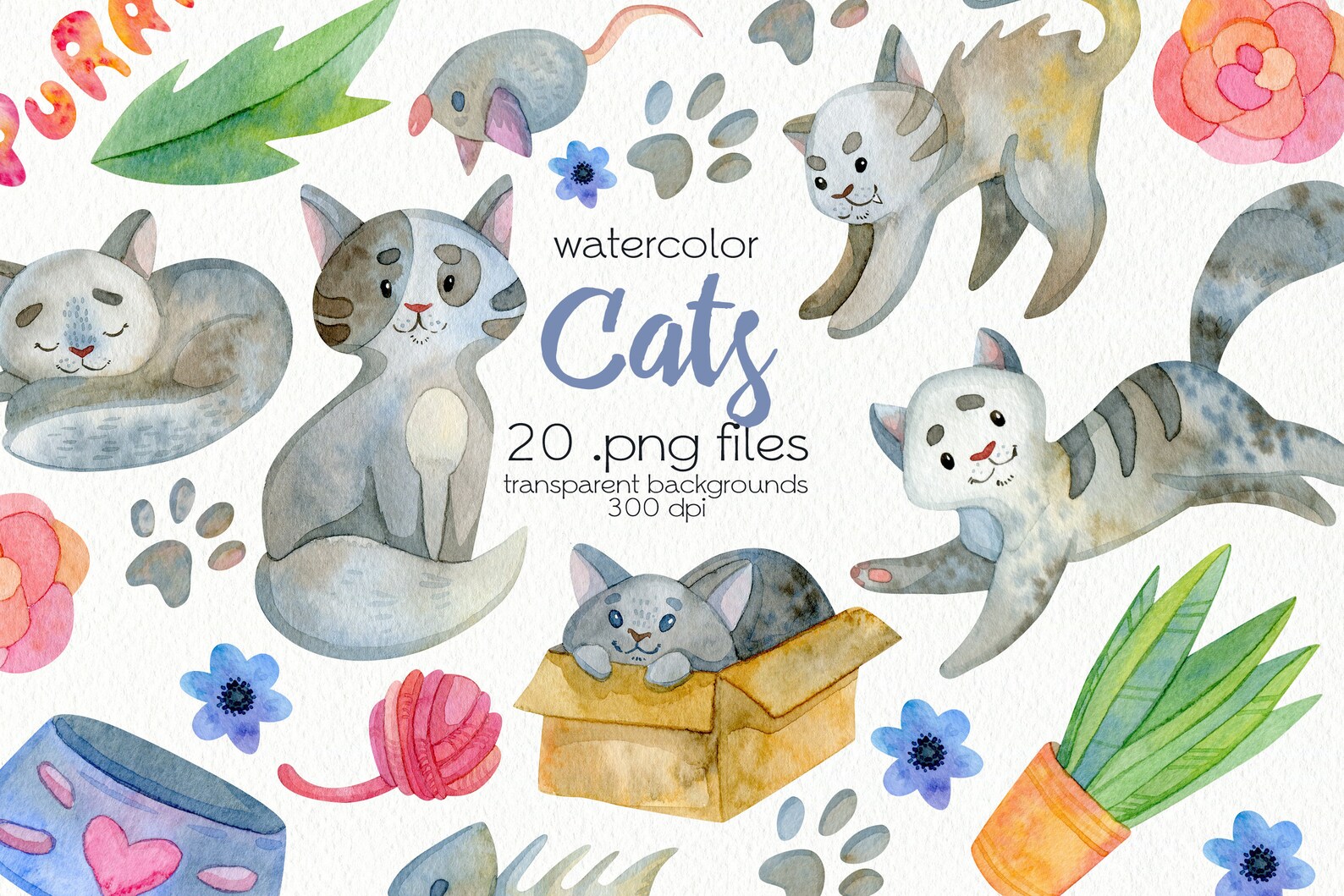 Watercolor Cats Clipart / Cute Kitten / Gray Striped Pet / - Etsy
