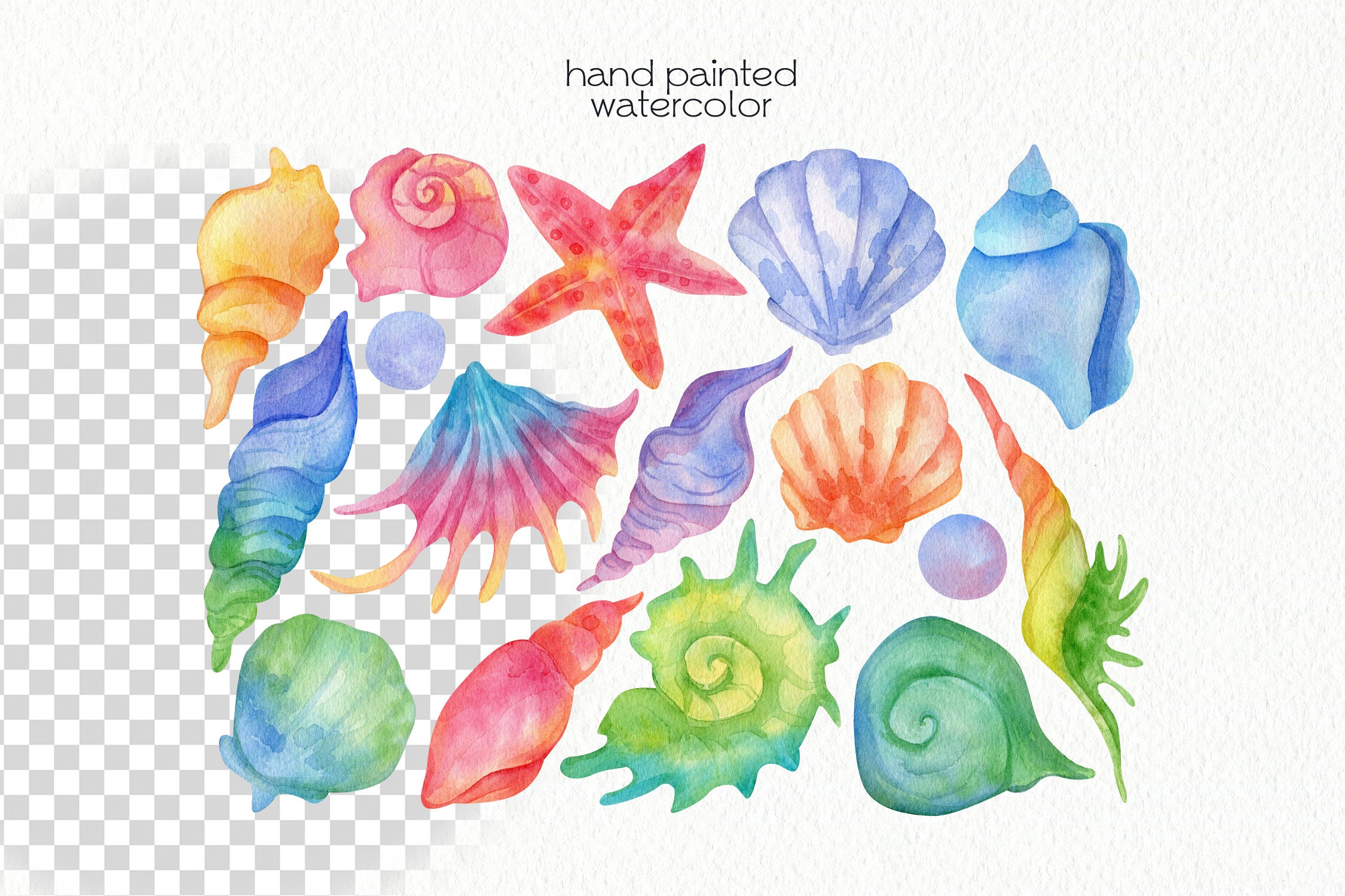 Watercolor Seashells Clipart / Summer Beach / PNG Files / - Etsy