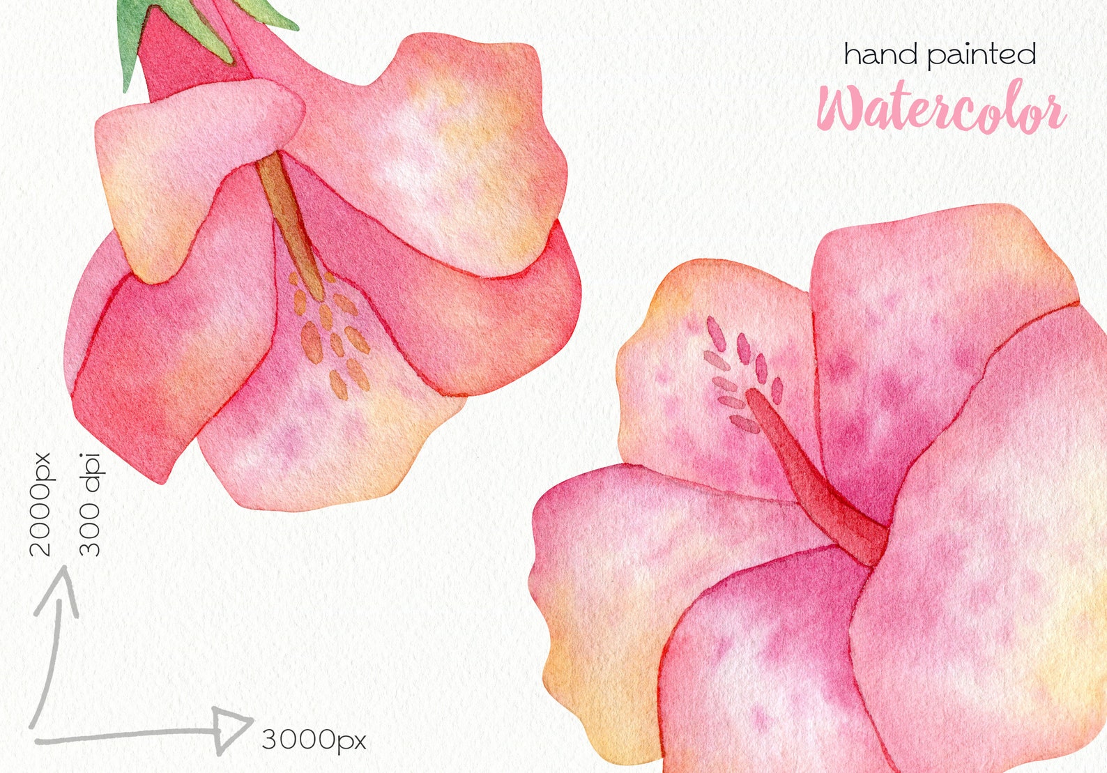 Tropical Leaves and Flowers Clipart / Watercolor Floral / - Etsy