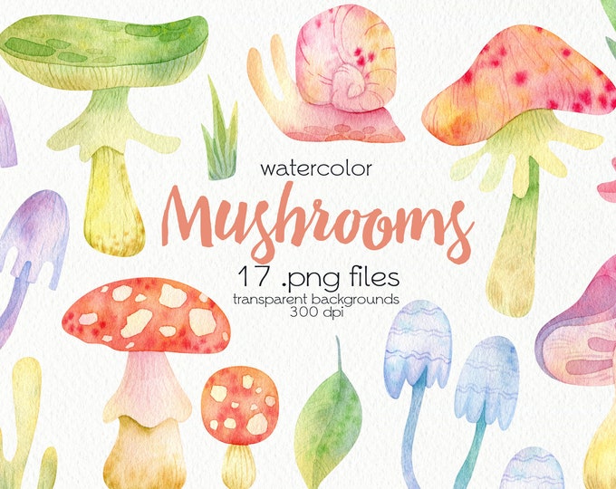 Mushroom Clipart Set: Hand-drawn Fungi Illustrations (11 PNG Elements ...