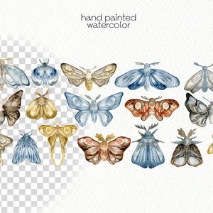 Watercolor Moth Clipart / Insects / PNG Files / Instant Download - Etsy