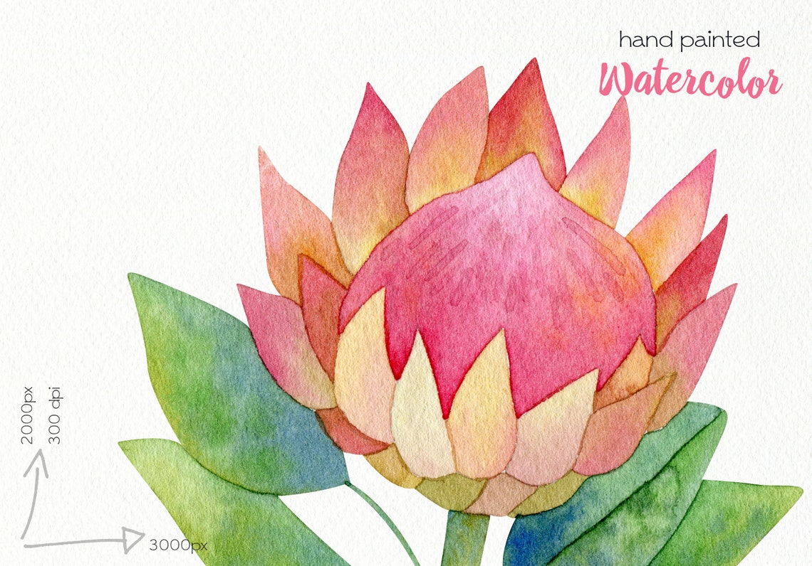 Watercolor Tropical Clipart / Summer Tropical Leaves and Flowers ...