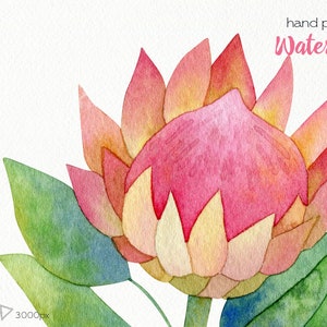 Watercolor Tropical Clipart / Summer Tropical Leaves and Flowers ...