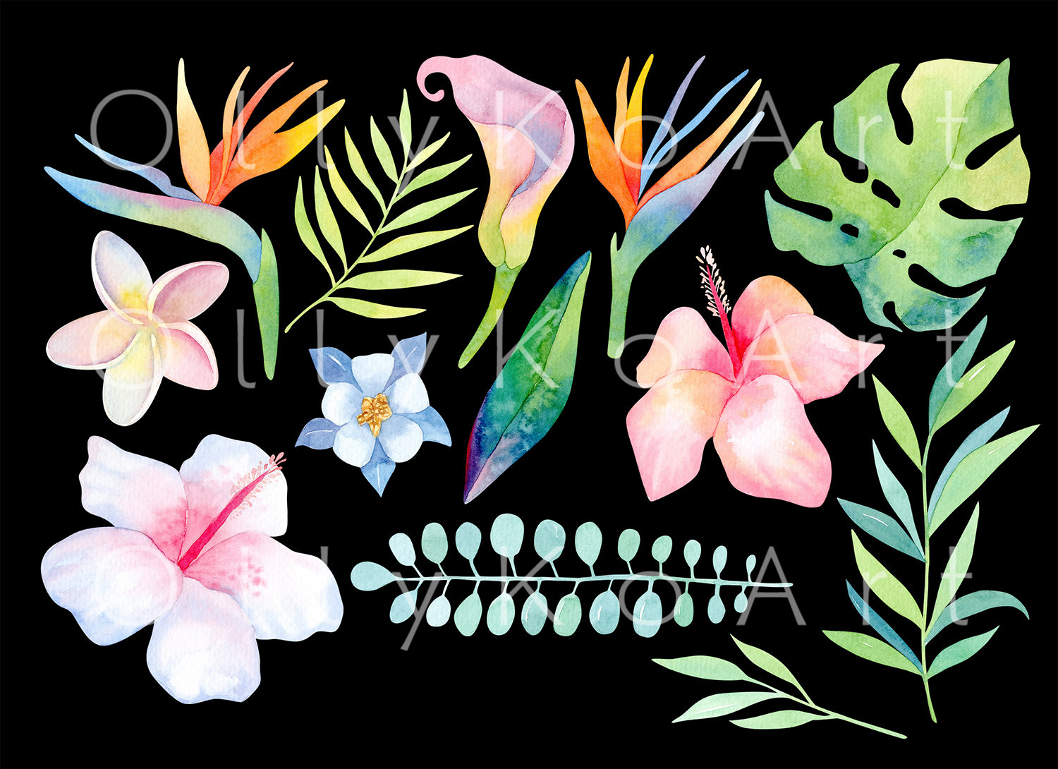 Watercolor Tropical Flowers Clipart / Hawaii Clipart / Calla - Etsy