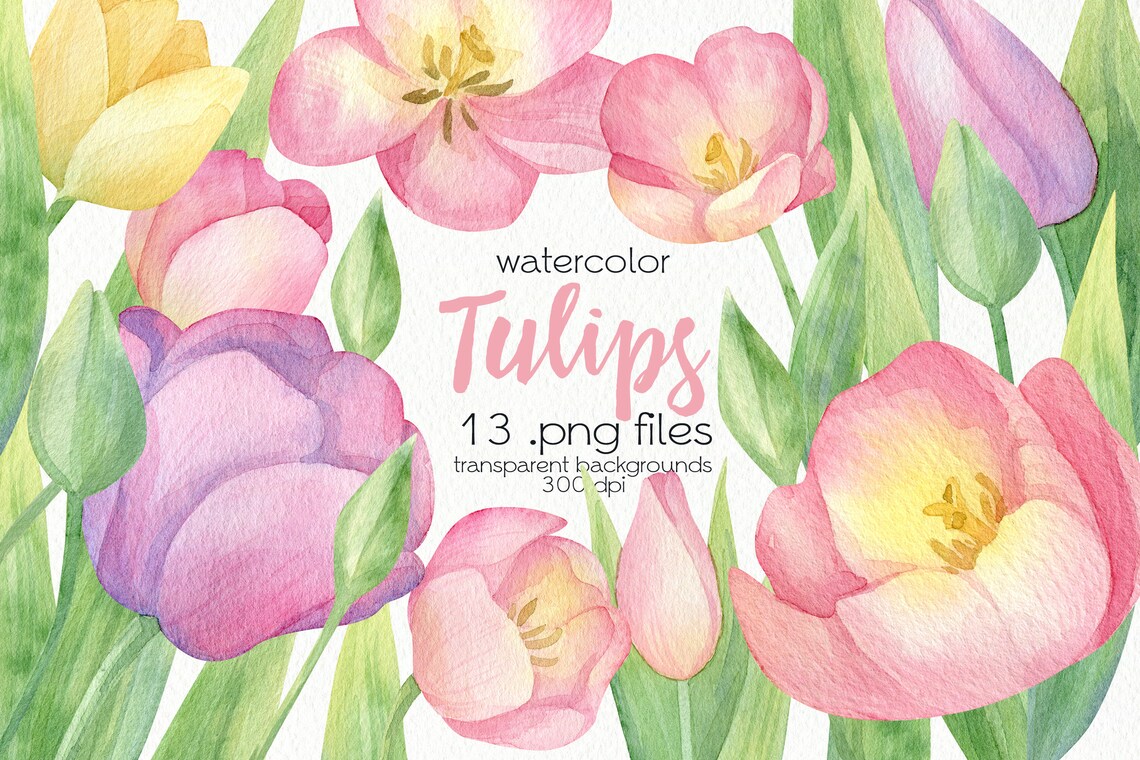Watercolor Tulip Clipart / Spring Flowers / PNG Files / - Etsy
