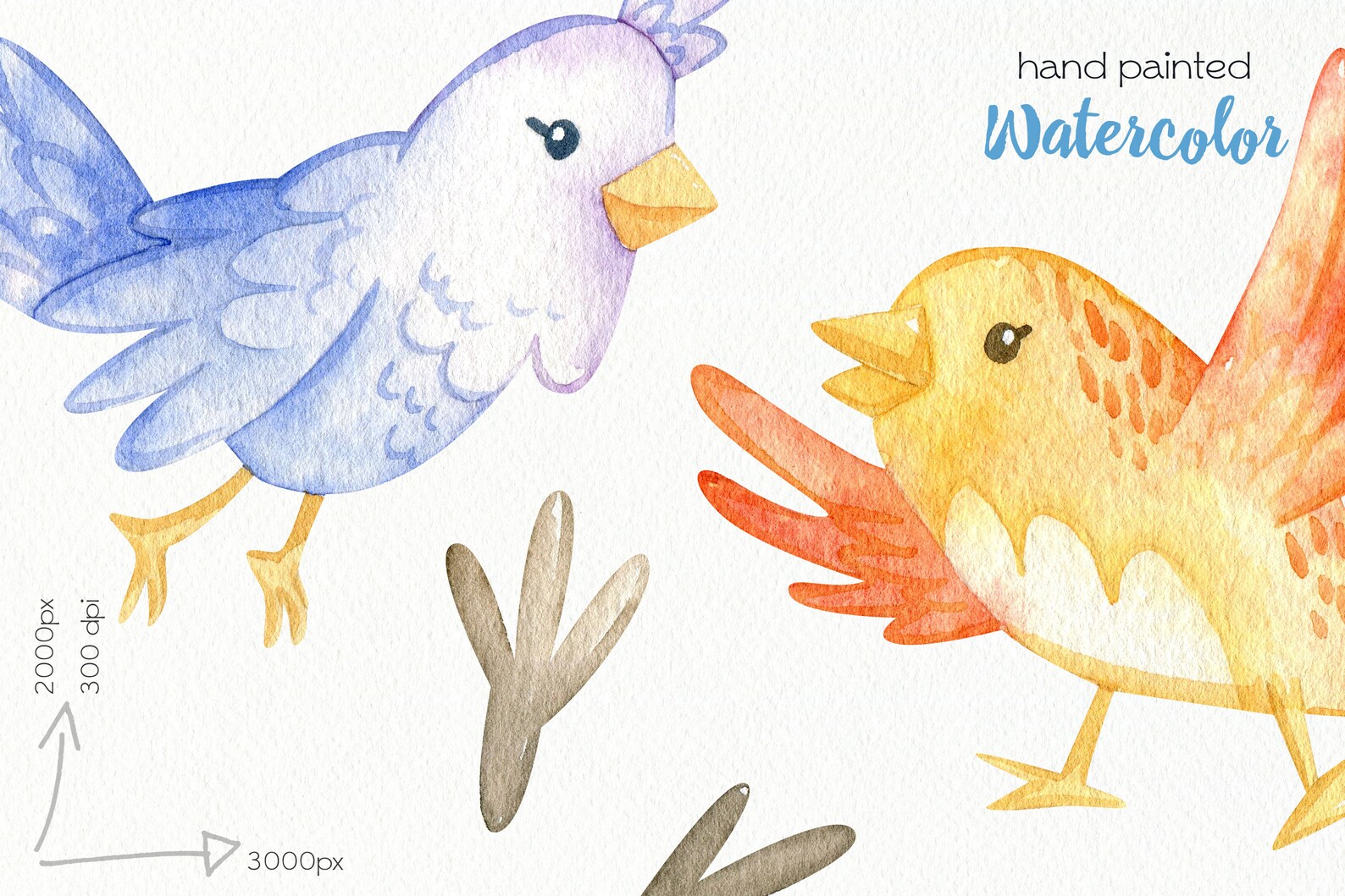 Watercolor Birds Clipart / Cartoon Birds / PNG Files / Instant - Etsy