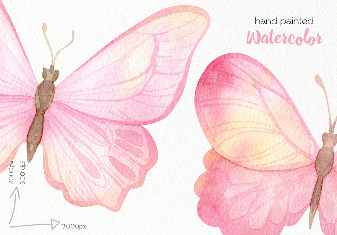 Watercolor Butterfly Clipart / Pink Butterflies / PNG Files / - Etsy