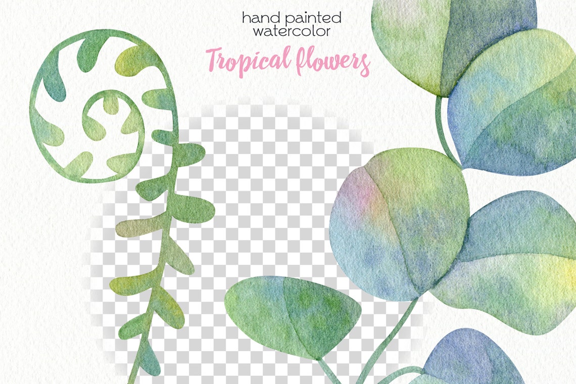 Watercolor Tropical Clipart / Summer Tropical Leaves and | Etsy