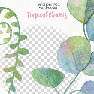 Watercolor Tropical Clipart / Summer Tropical Leaves and Flowers ...
