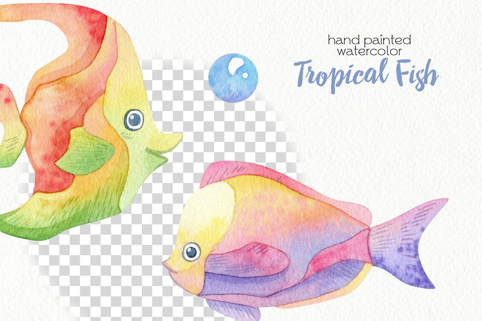 Watercolor Ocean Clipart / Tropical Fish Clipart / Printable - Etsy