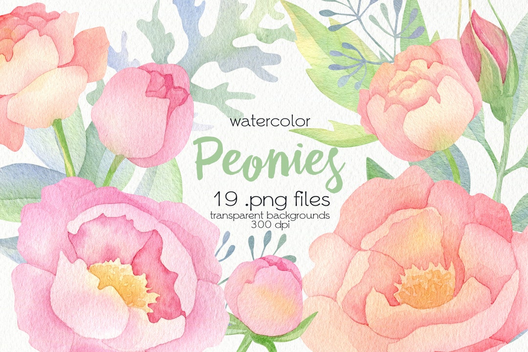 Watercolor Spring Flowers Clipart / Peony Flowers / PNG Files / Instant ...