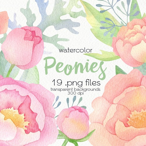 Watercolor Spring Flowers Clipart / Peony Flowers / PNG Files - Etsy