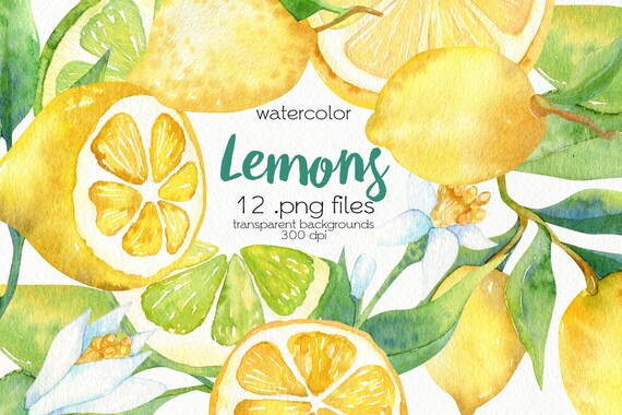 Watercolor Lemons Clipart / Citrus Summer Fruit / PNG Files / - Etsy