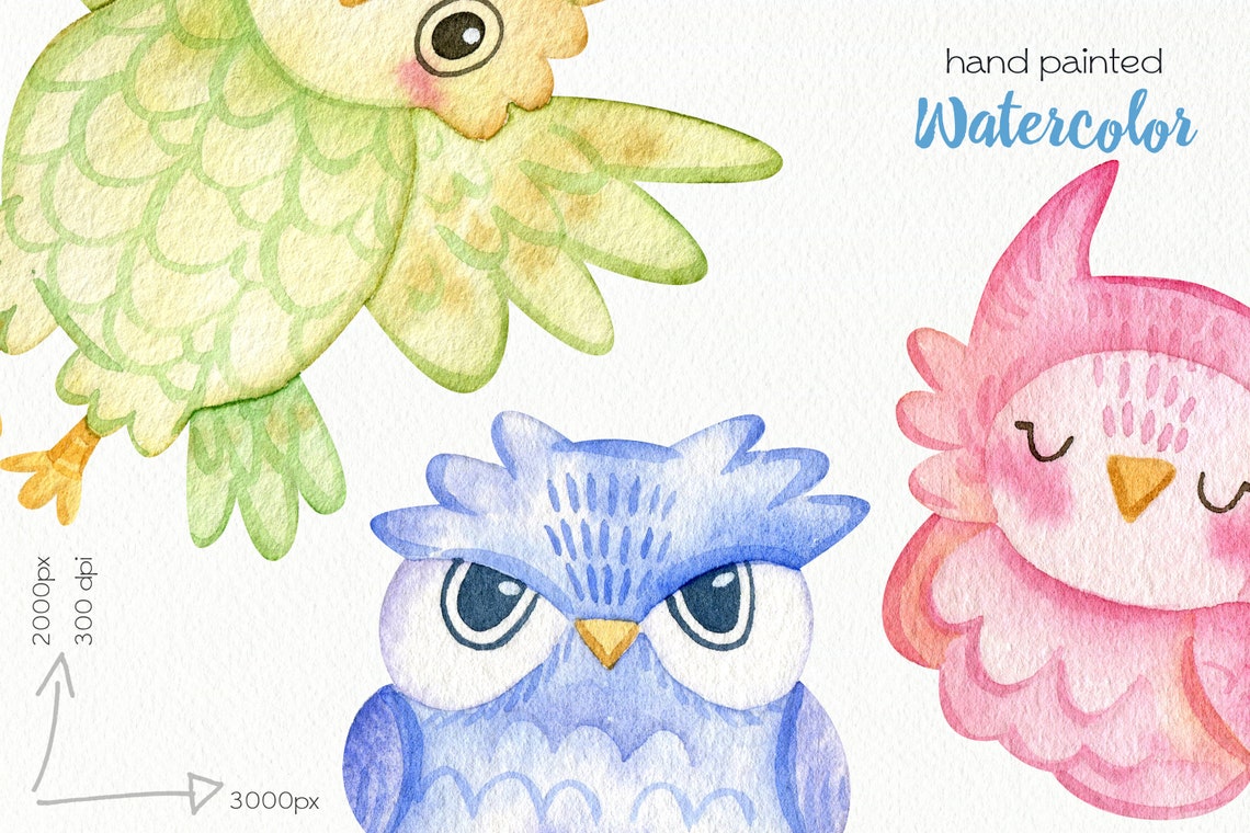 Watercolor Owls Clipart / Cartoon Birds / PNG Files / Instant - Etsy
