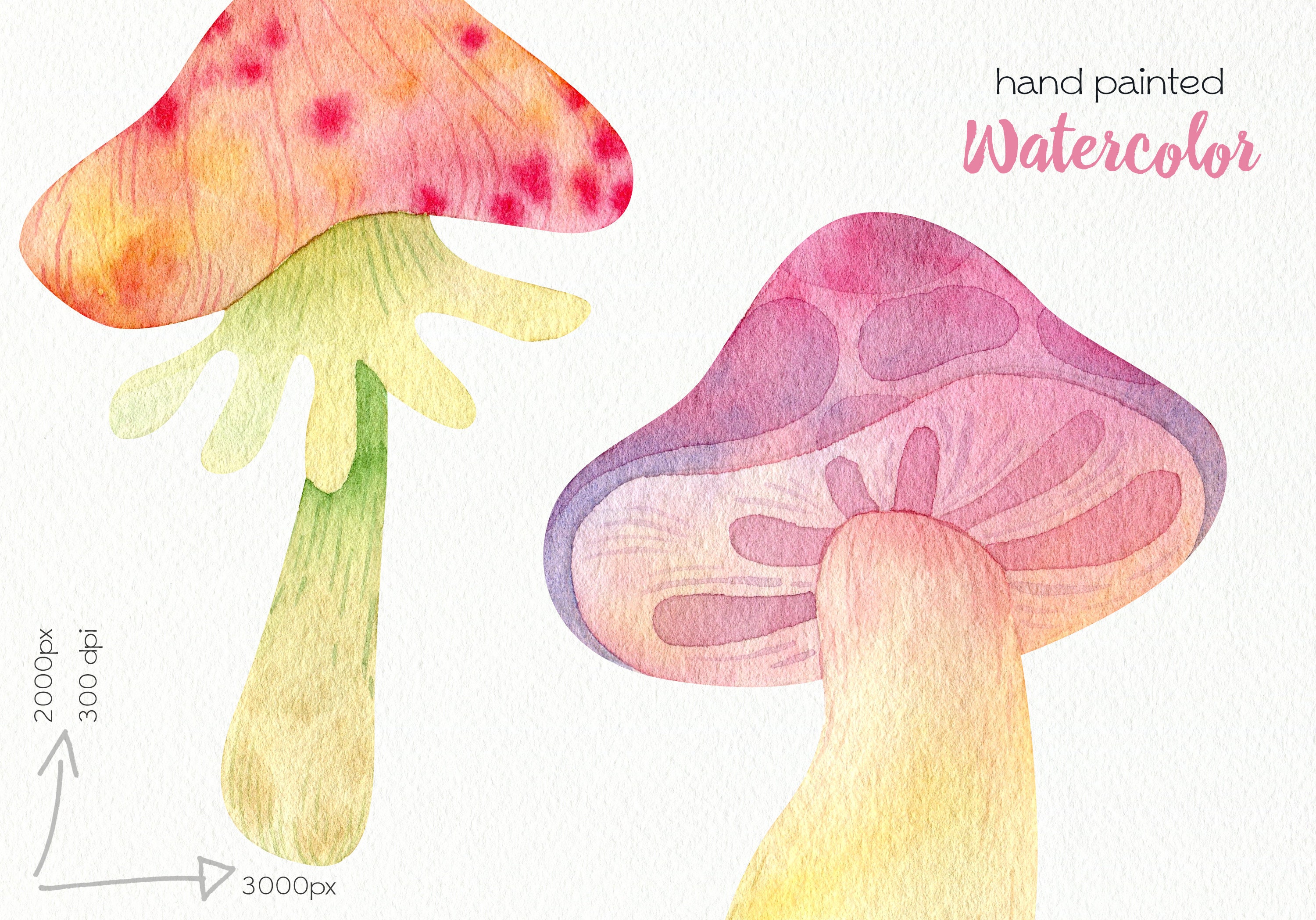 Watercolor Mushrooms Clipart / Fantasy Mushrooms / Forest - Etsy