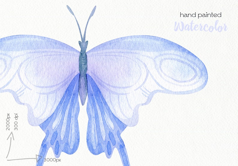 Watercolor Butterfly Clipart / Blue Butterflies / PNG Files / - Etsy