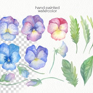 Watercolor Pansy Clipart / Viola / Spring Flowers / PNG Files / Instant ...
