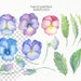 Watercolor Pansy Clipart / Viola / Spring Flowers / PNG Files / Instant ...
