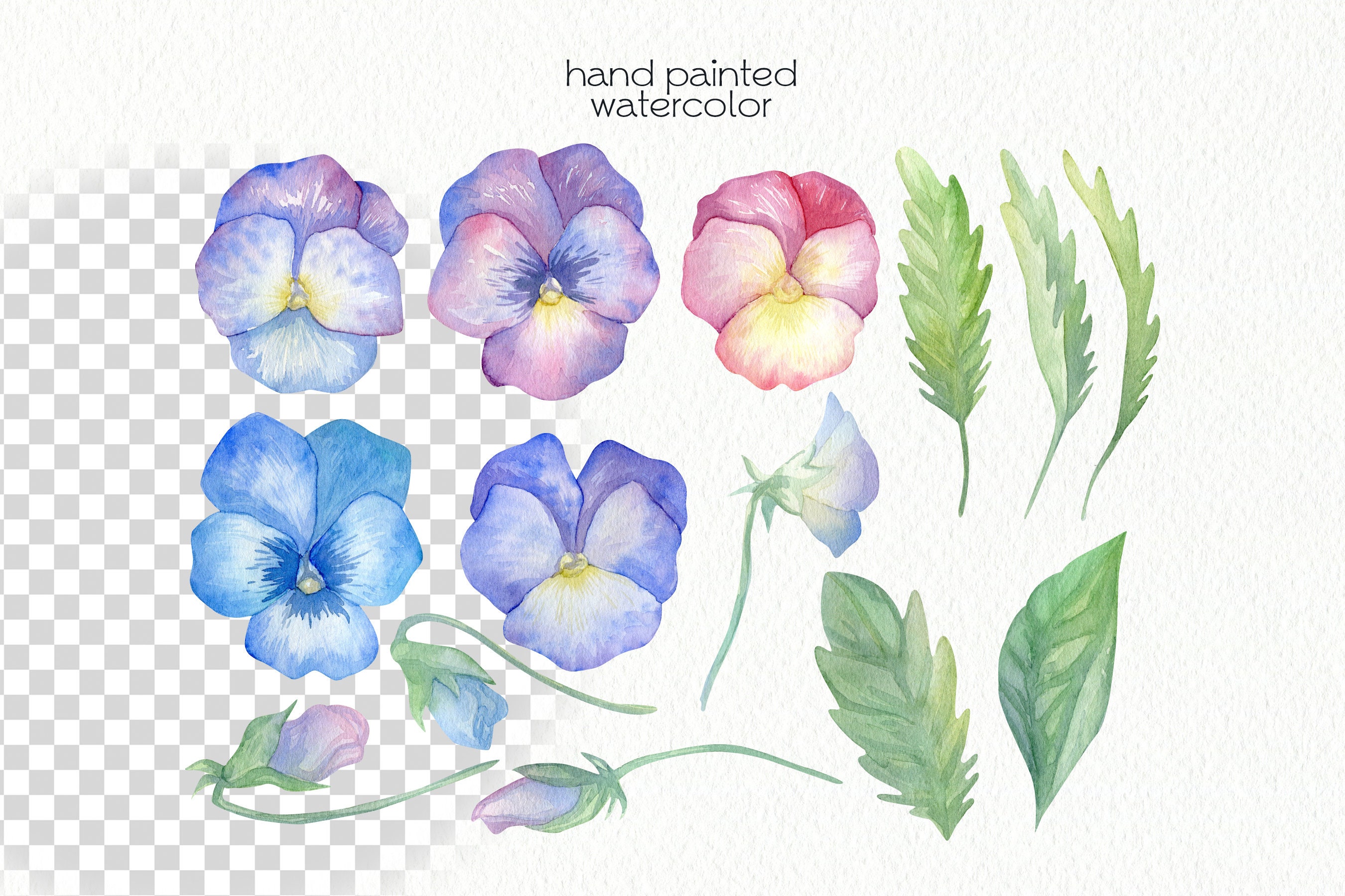 Watercolor Pansy Clipart / Viola / Spring Flowers / PNG Files - Etsy
