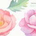 Watercolor Spring Flowers Clipart / Peony Flowers / PNG Files / Instant ...