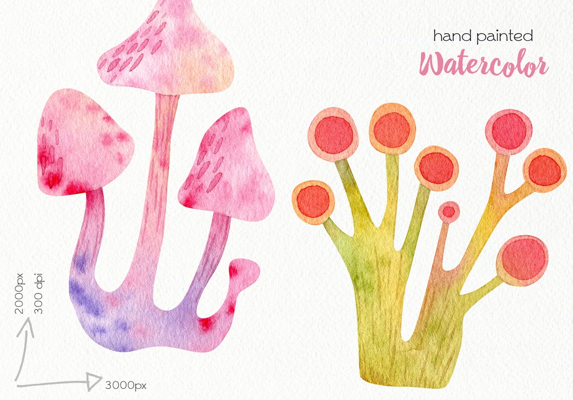 Watercolor Mushrooms Clipart / Fantasy Mushrooms / Forest - Etsy