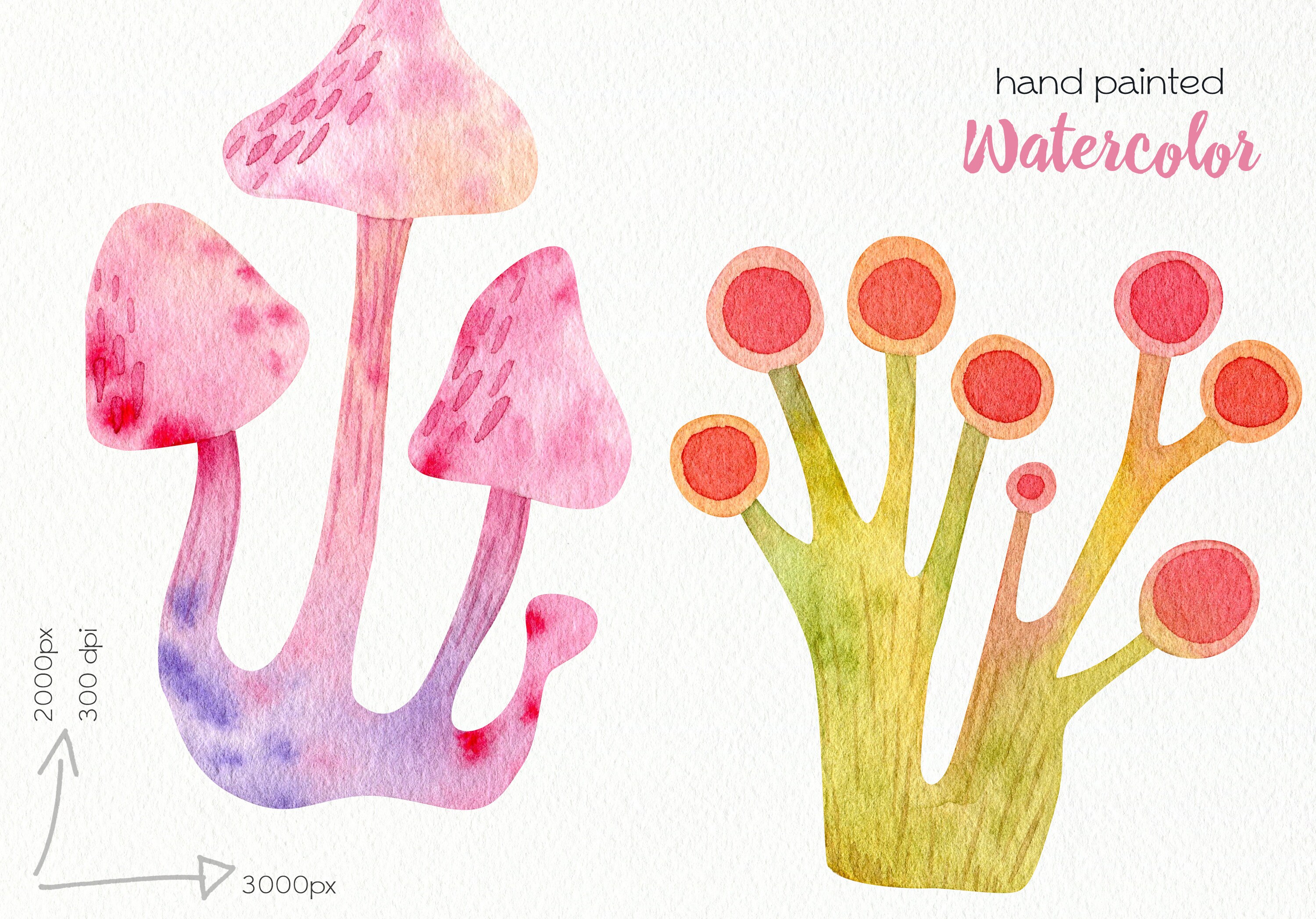 Watercolor Mushrooms Clipart / Fantasy Mushrooms / Forest - Etsy