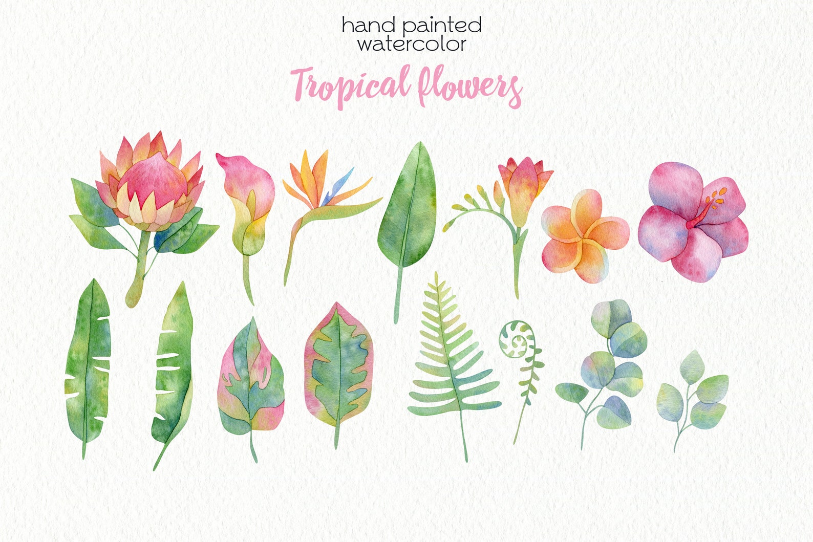 Watercolor Tropical Clipart / Summer Tropical Leaves and | Etsy