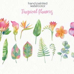 Watercolor Tropical Clipart / Summer Tropical Leaves and Flowers ...