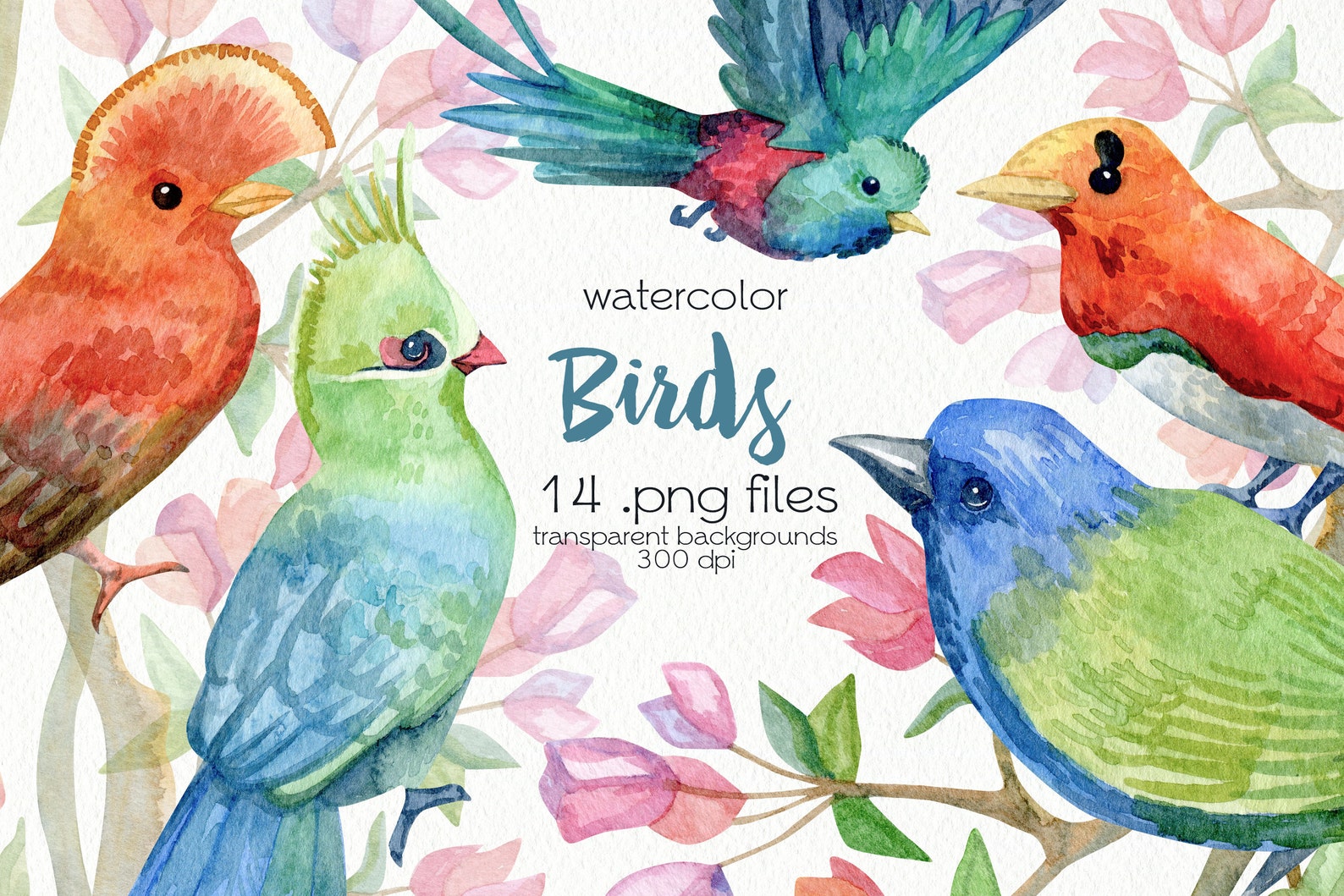 Watercolor Birds Clipart / Exotic Bird With Flowers / Digital - Etsy