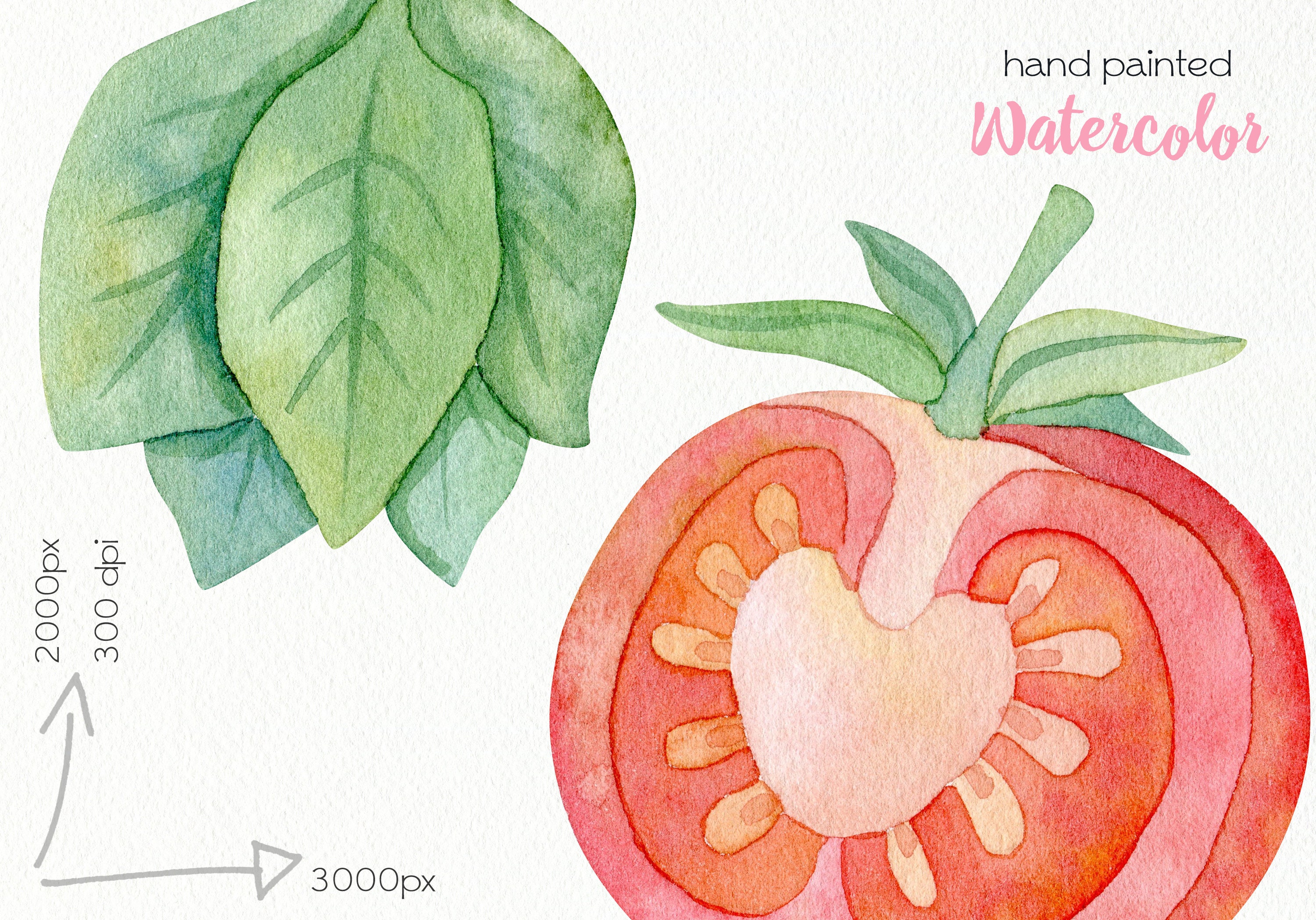 Watercolor Freshy Clipart / Vegetables / Healthy Eating / - Etsy