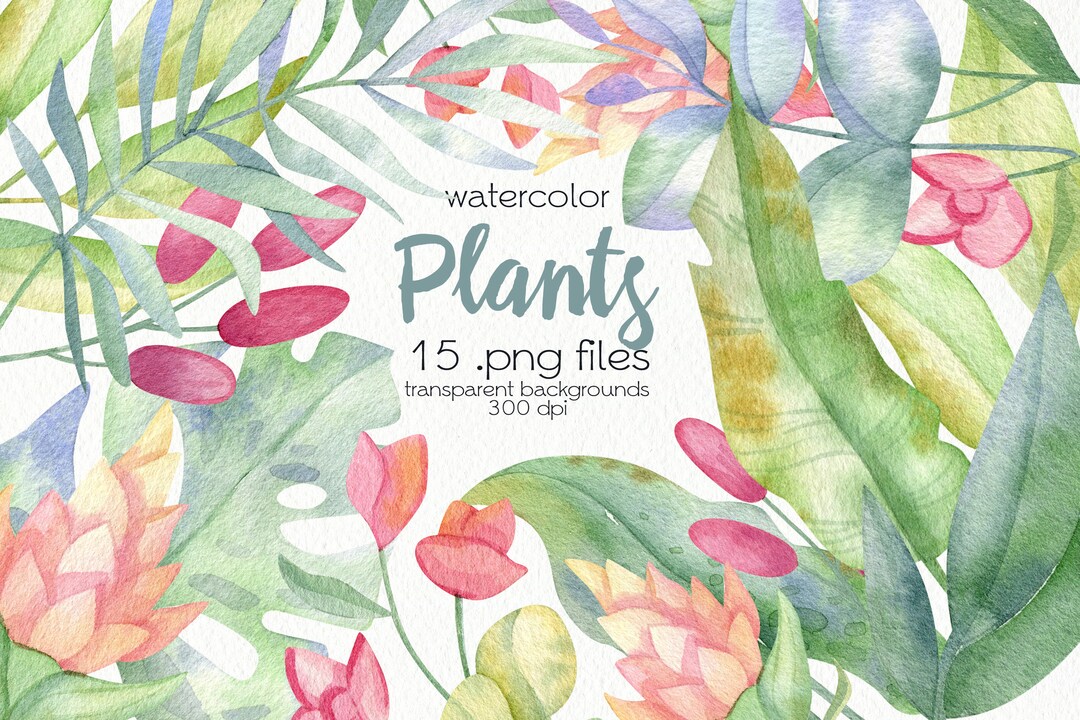 Watercolor Tropical Leaves Clipart / PNG Files / Instant Download - Etsy