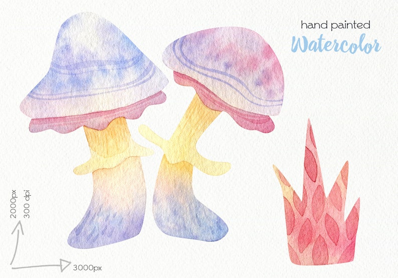 Watercolor Mushrooms Clipart / Fantasy Mushrooms / Forest Clipart / PNG ...