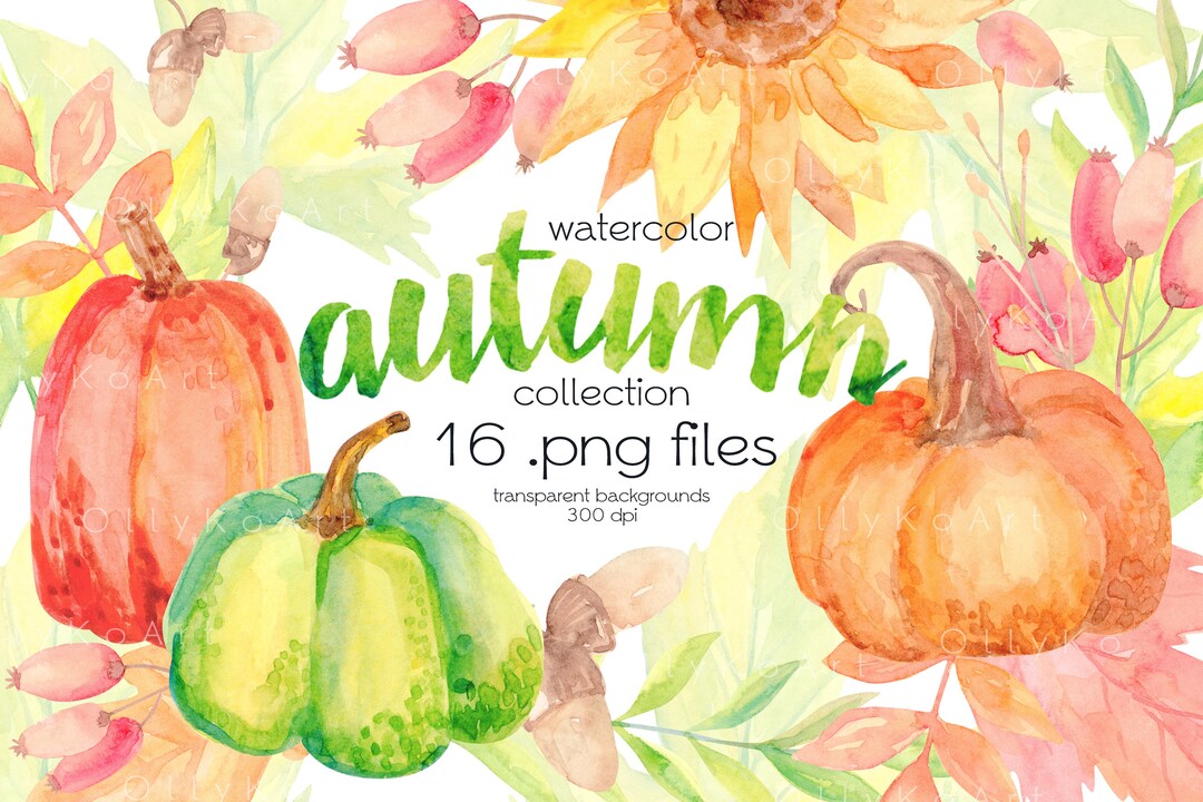 Watercolor Autumn Leaves / Fall Leaf, Sunflower, Pumpkins Clipart ...