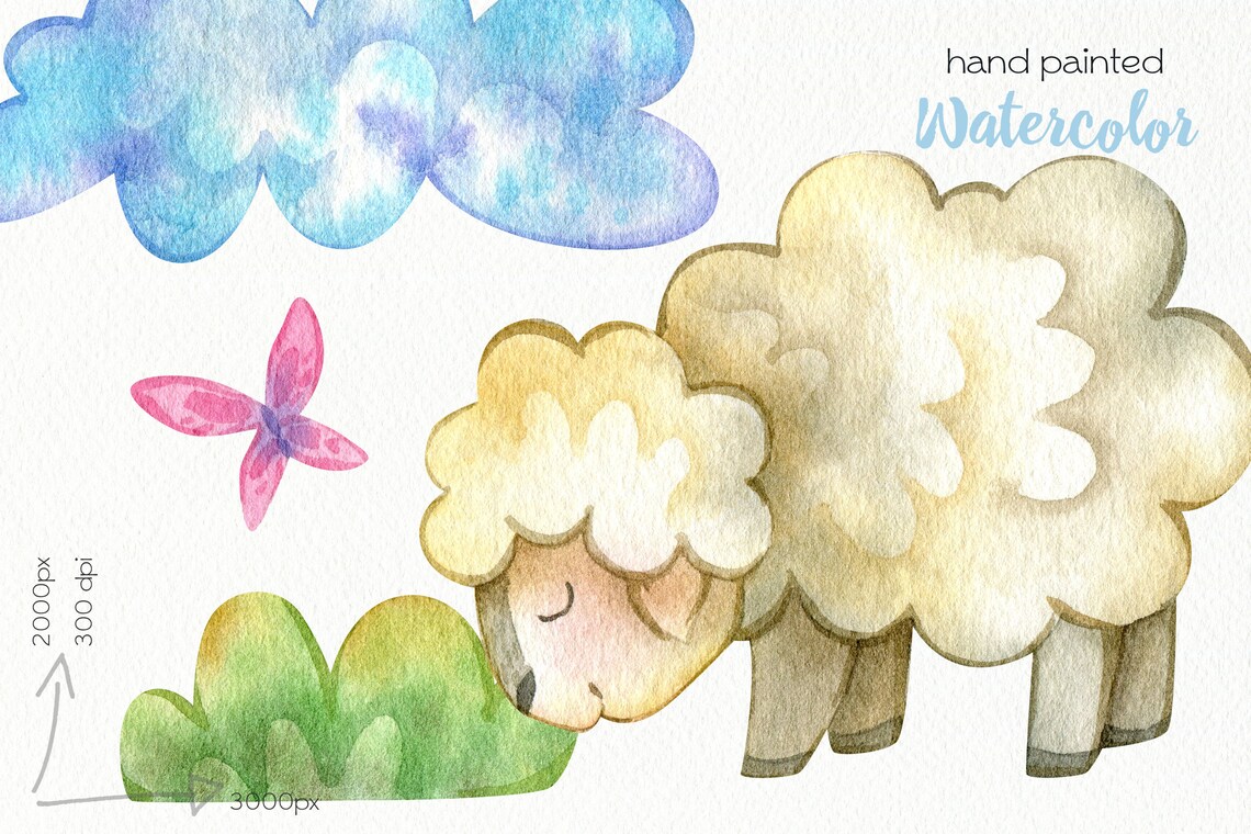 Watercolor Sheep Clipart / Farm Animal / PNG Files / Instant - Etsy