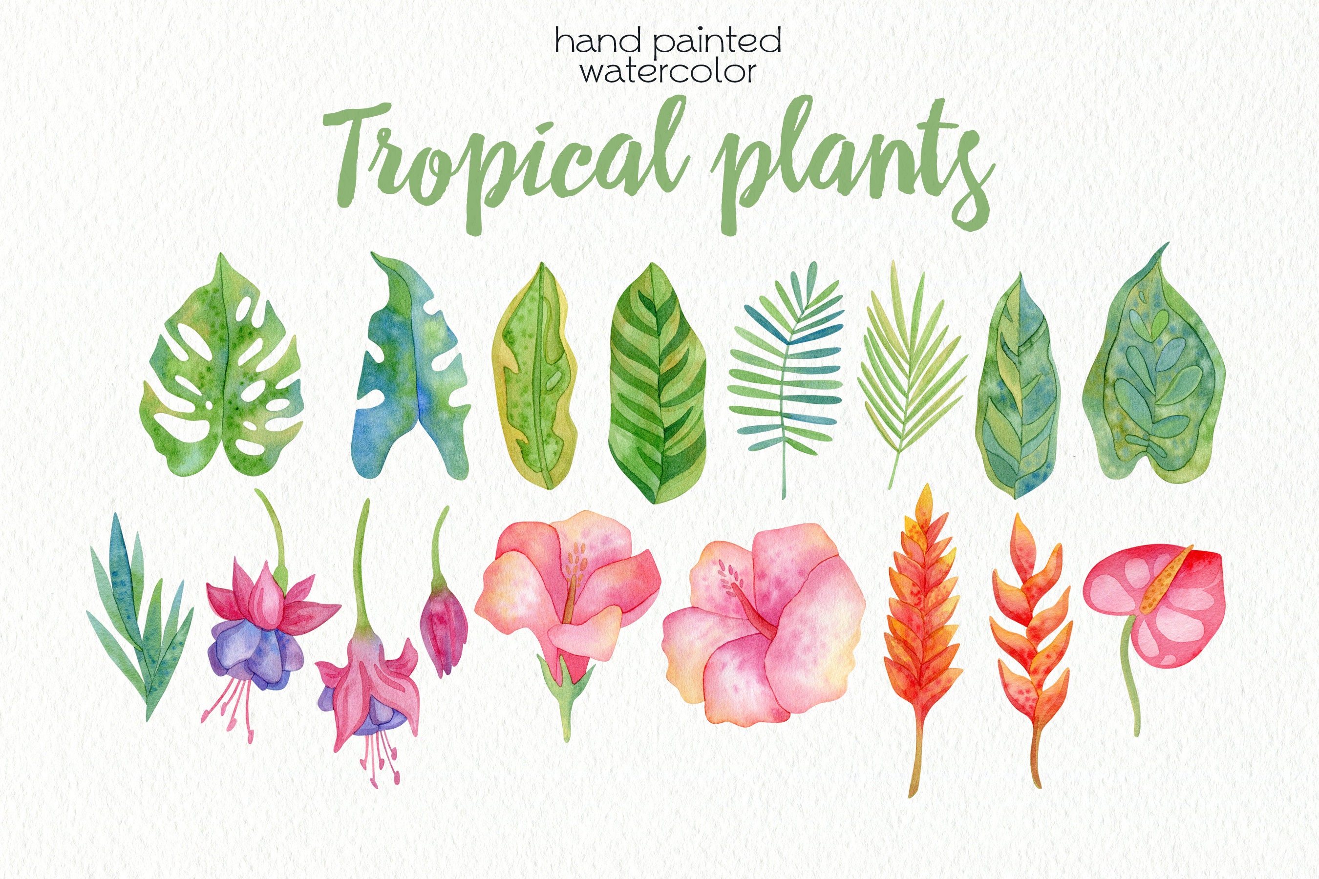 Tropical Leaves and Flowers Clipart / Watercolor Floral / Vriesia ...