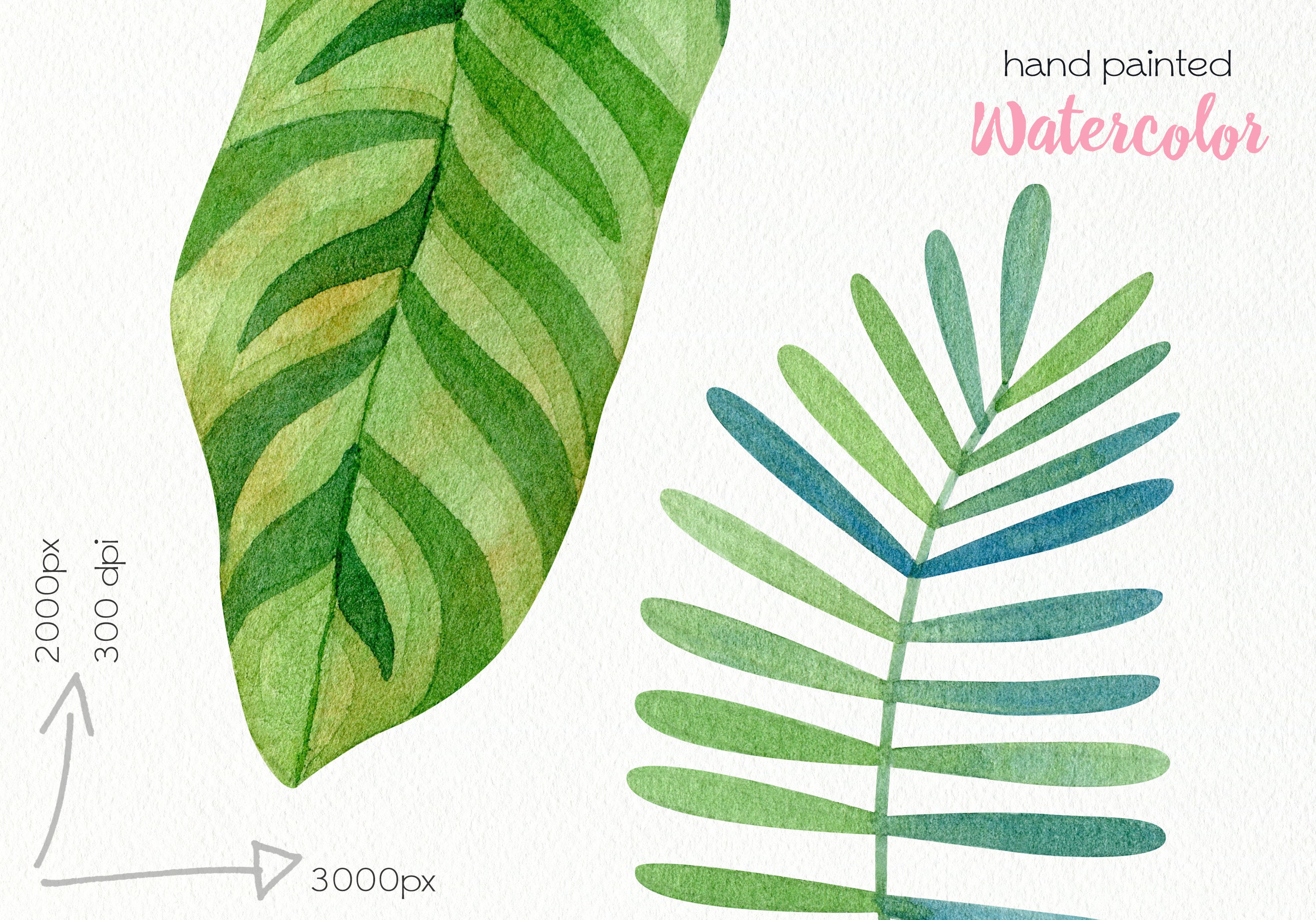 Tropical Leaves and Flowers Clipart / Watercolor Floral / - Etsy
