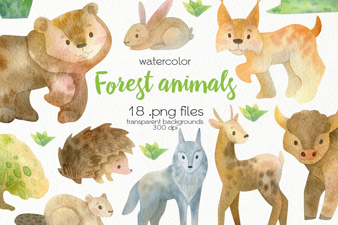 Watercolor Forest Animals Clipart / Woodland Animals / PNG - Etsy