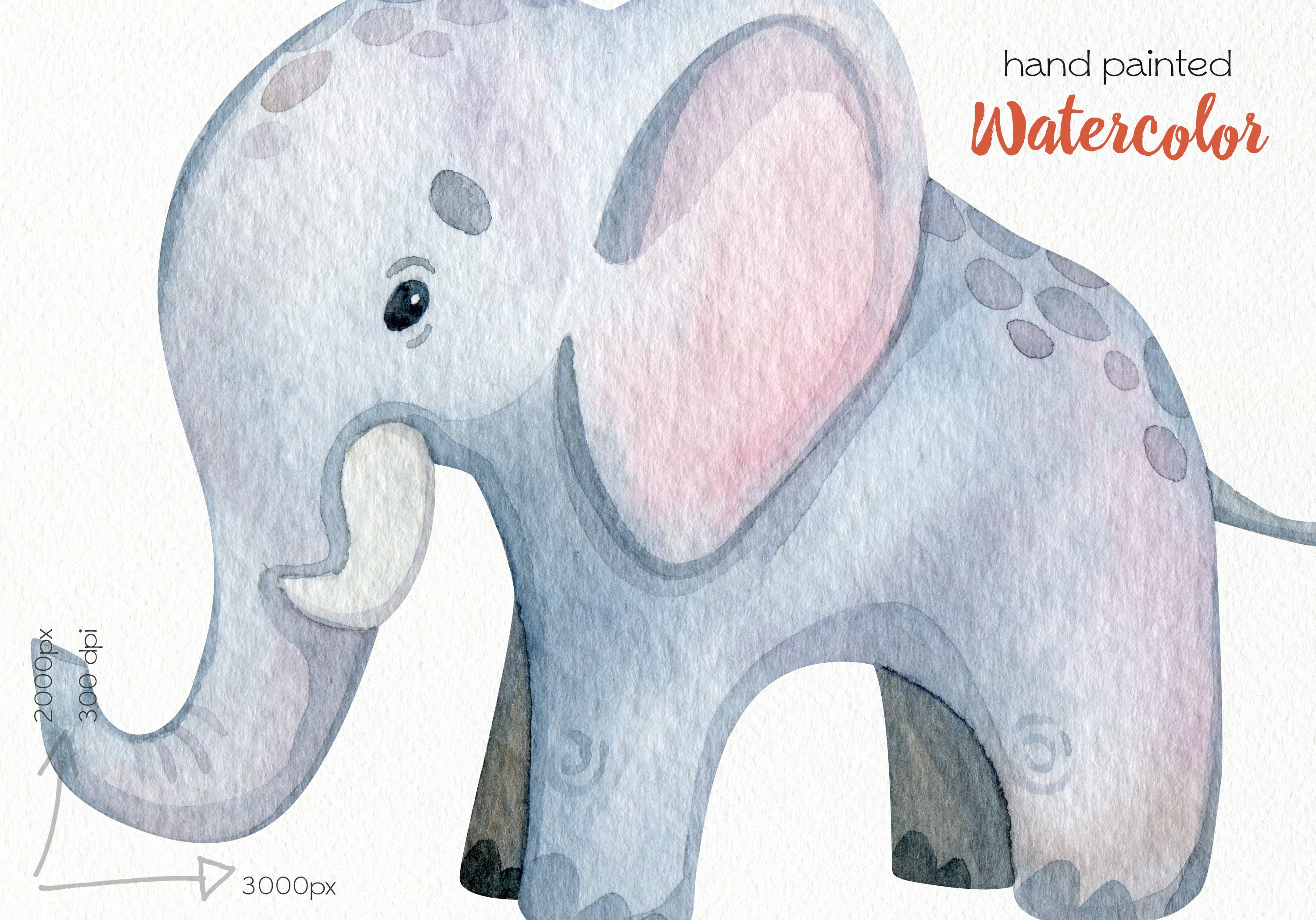 Watercolor Jungle Animals / Tropical Animal Clipart / Cute Zoo | Etsy