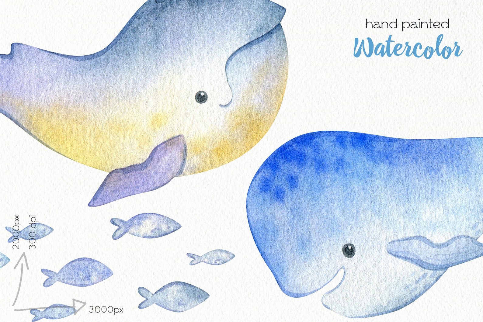 Watercolor Whales Clipart / Ocean Animals / Digital PNG Files - Etsy