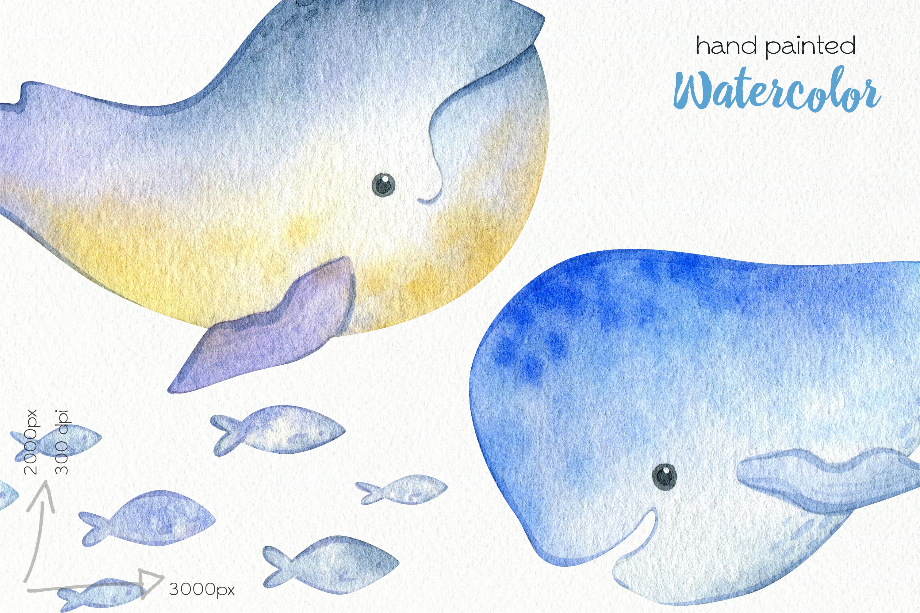 Watercolor Whales Clipart / Ocean Animals / Digital PNG Files - Etsy